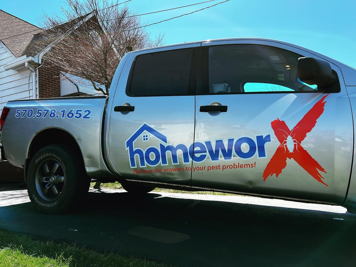 How much does it cost to install Vinyl Graphics on a car? | Stefanik ...